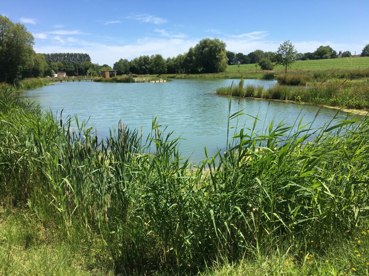 Lake Overview - Periwinkle Lake, An Intimate specimen lake in Orne ...